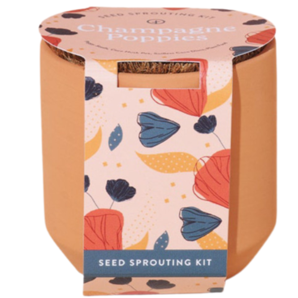 Tiny Terracotta Kit: Champagne Poppies – White Horse Wine and Spirits